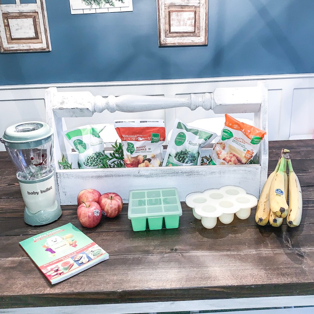 Purée All Day – The Patient Mom